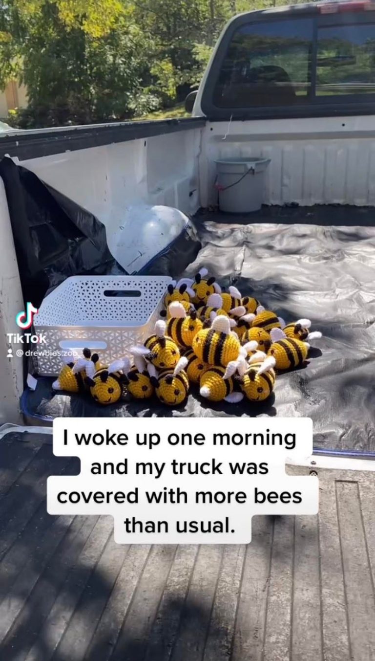 Erika Thompson, Queen Bee of Social Media's Beekeeping and Bee Removals ...
